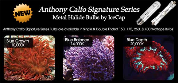 Custom Aquatic, Wiki: Lighting